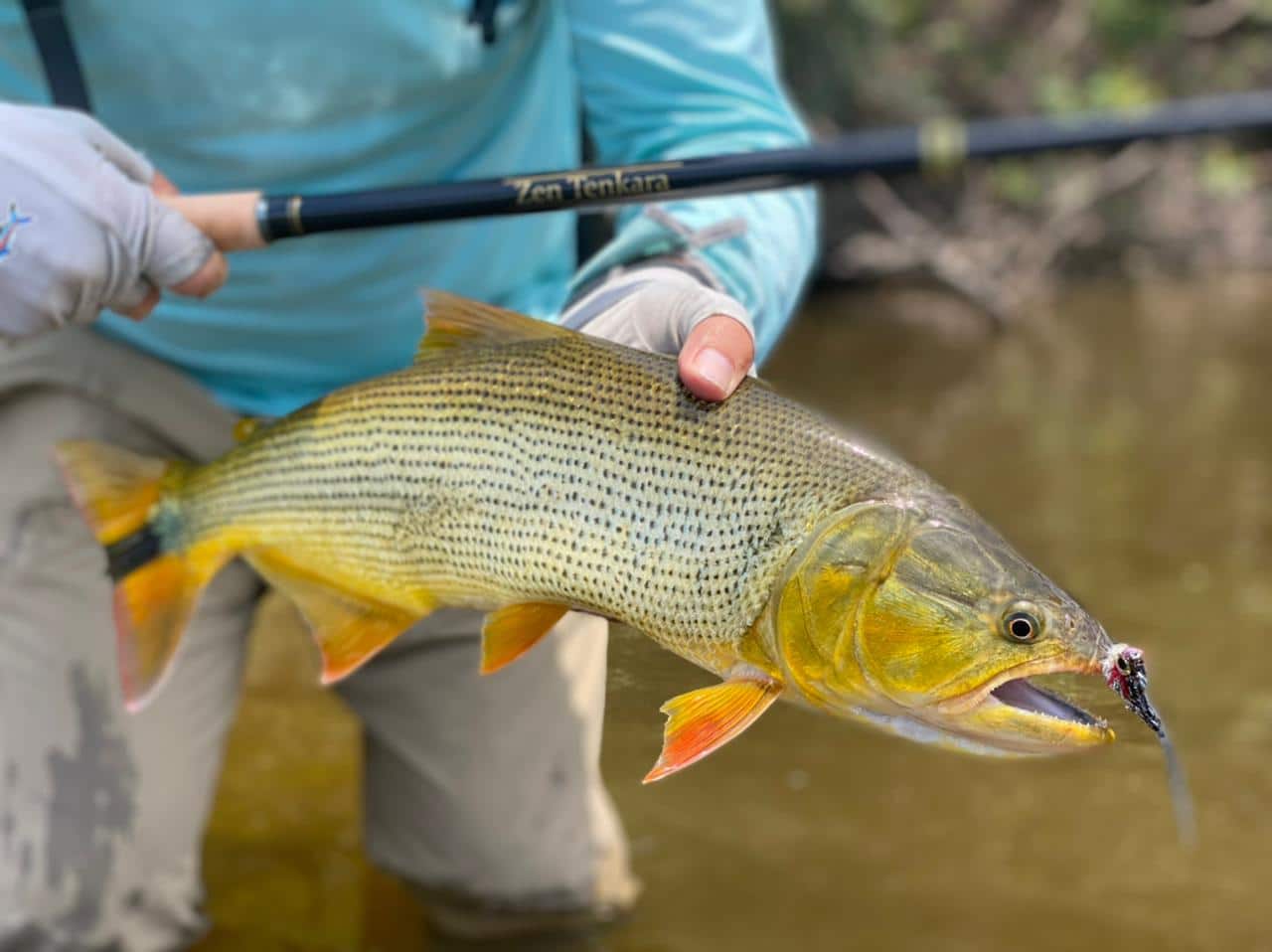 Tenkara Flies: Answering Common Questions about the Kebari - Zen Tenkara