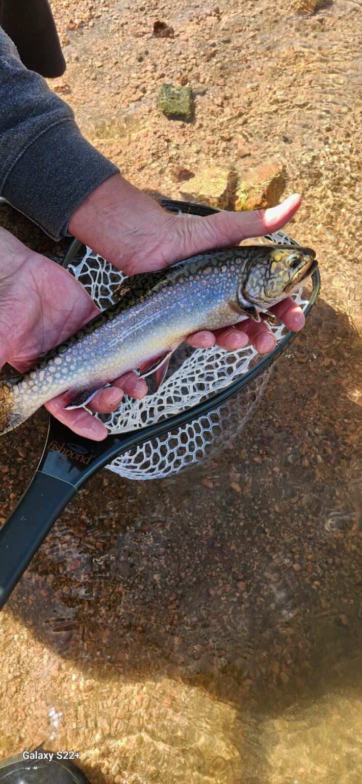 How to Improve your Hook Set - Zen Tenkara