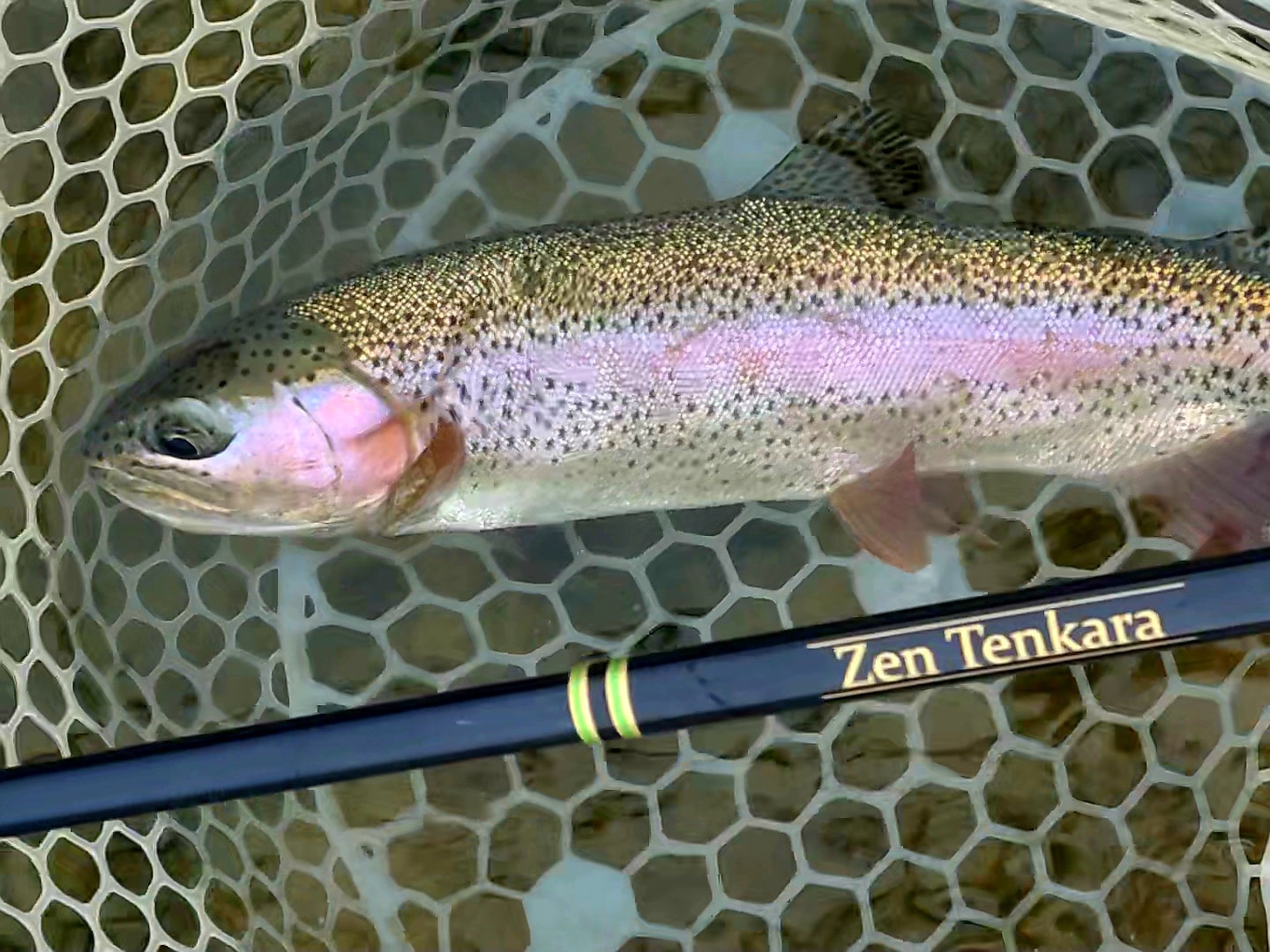 Slow or Fast? Understanding the Benefits of Different Rod Actions - Zen ...